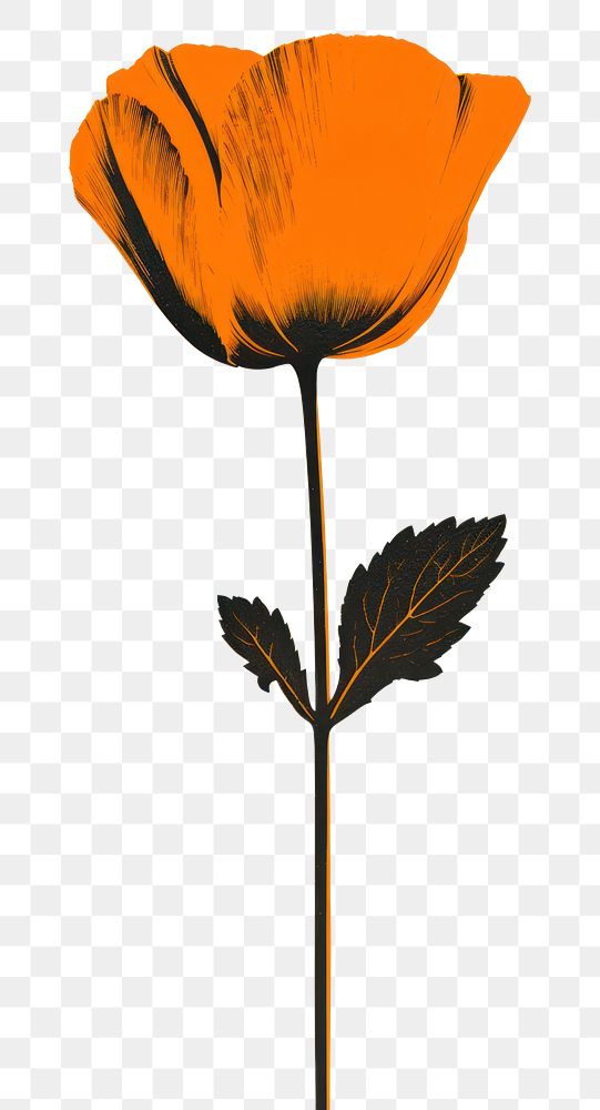 PNG Silkscreen california poppy flower | Premium PNG - rawpixel