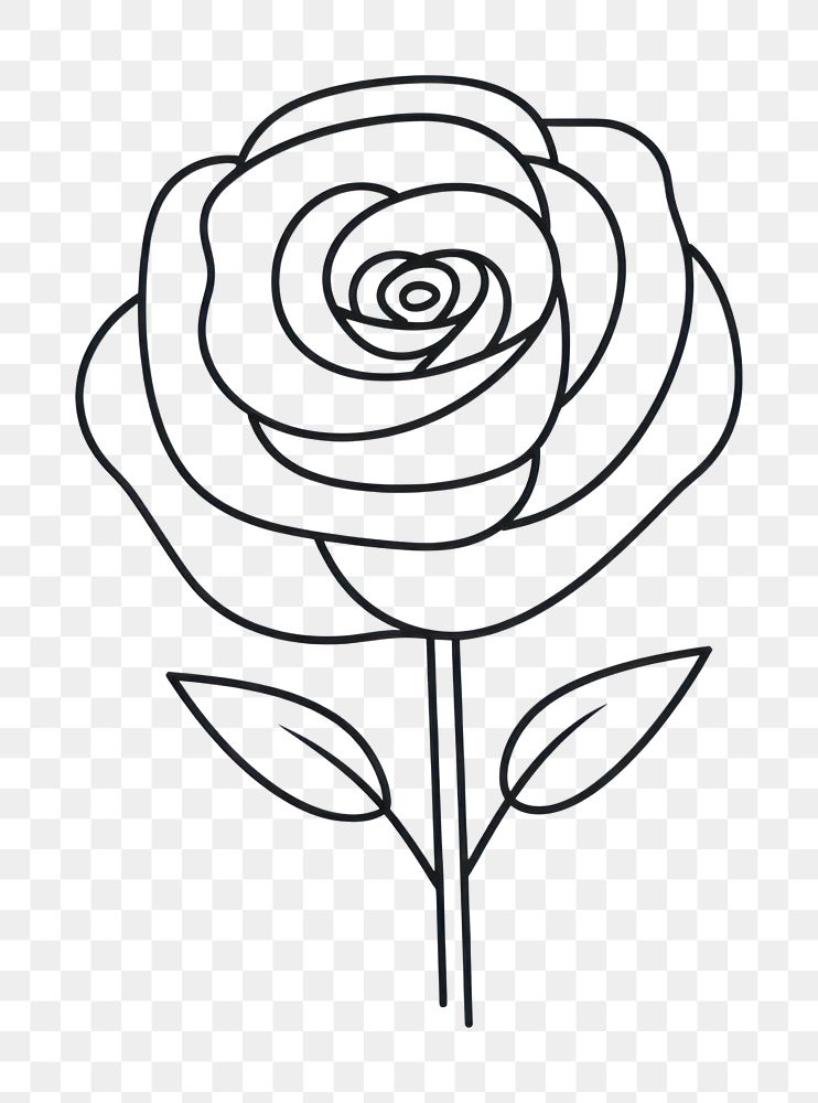 PNG Minimal illustration rose drawing | Free PNG - rawpixel