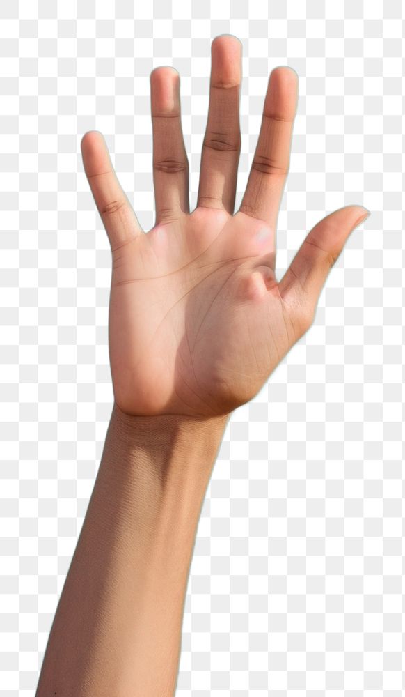 PNG Persons hand raising finger | Free PNG - rawpixel