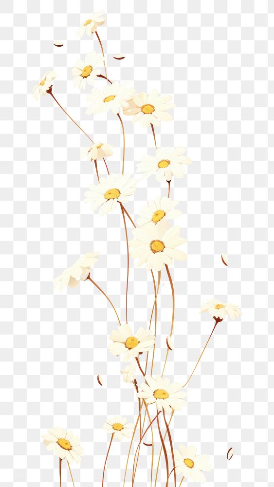 PNG Daisy flowers cute wallpaper | Free PNG - rawpixel