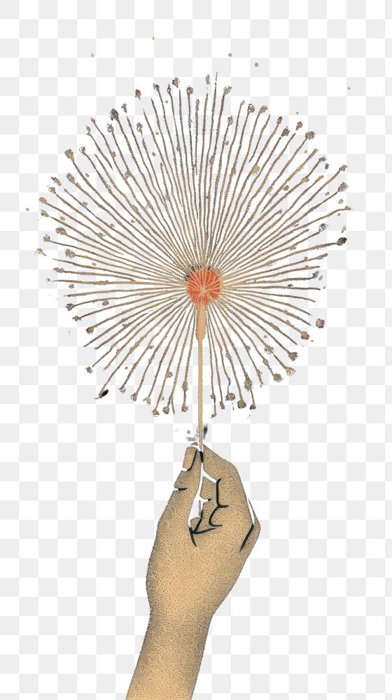 Sparklers In Hand PNG Images | Free Photos, PNG Stickers, Wallpapers ...