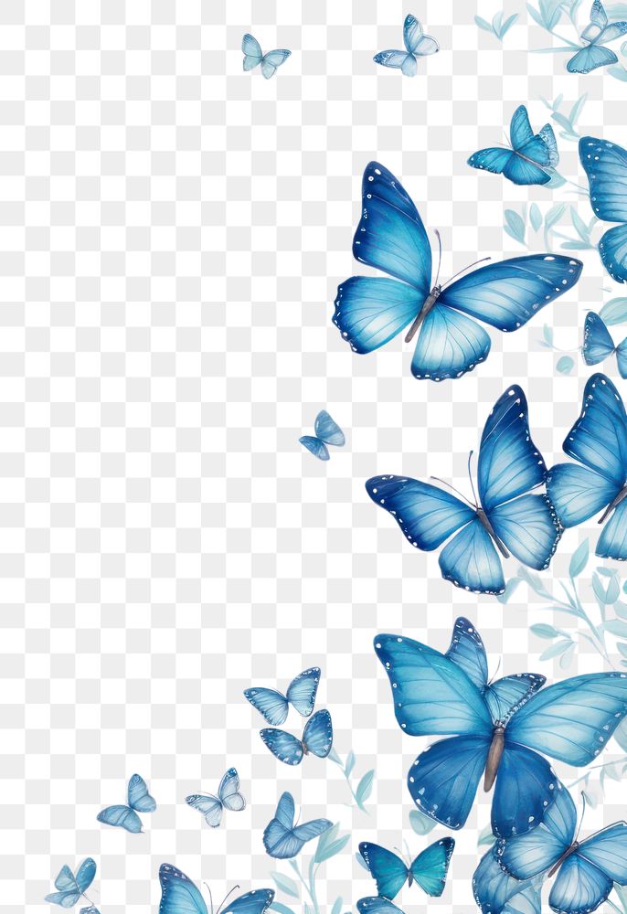 Blue Butterfly Border Images | Free Photos, PNG Stickers, Wallpapers ...