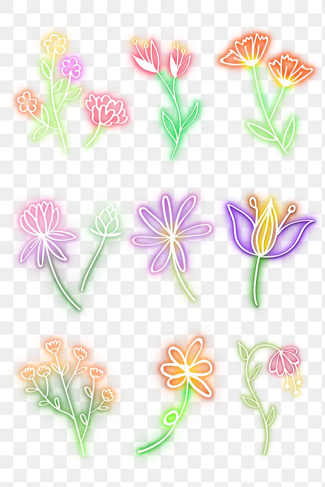 Png glowing botanical neon sign | Free PNG - rawpixel