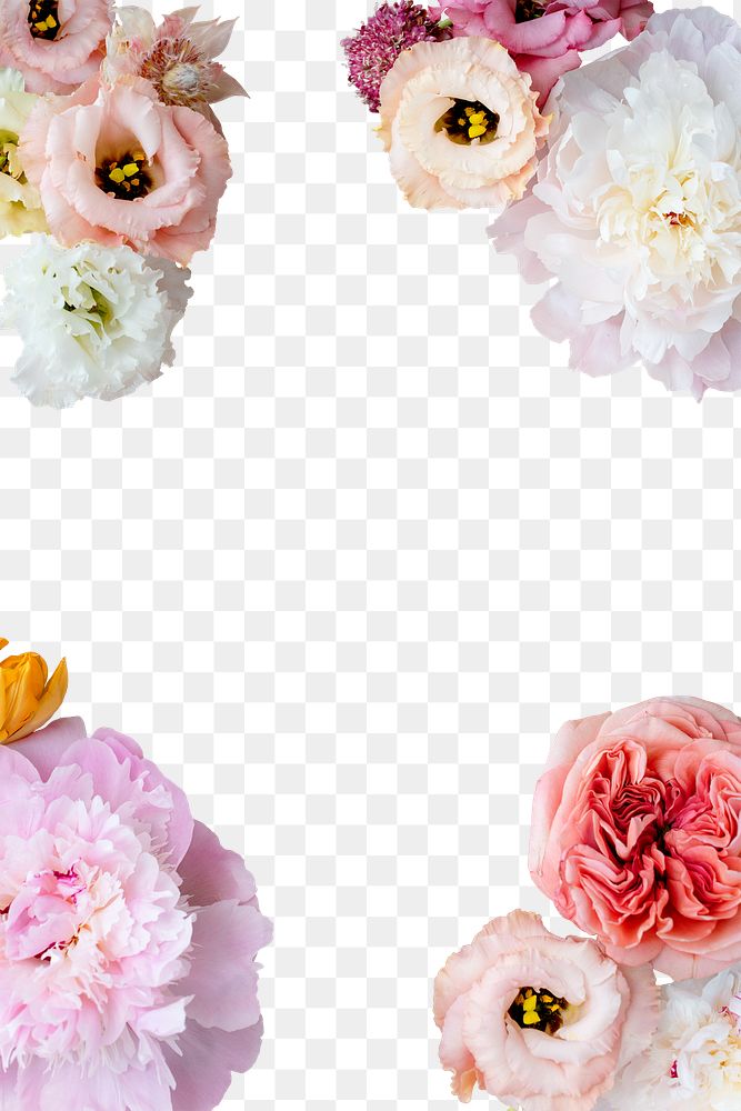 Botanical frame transparent png | Free PNG - rawpixel
