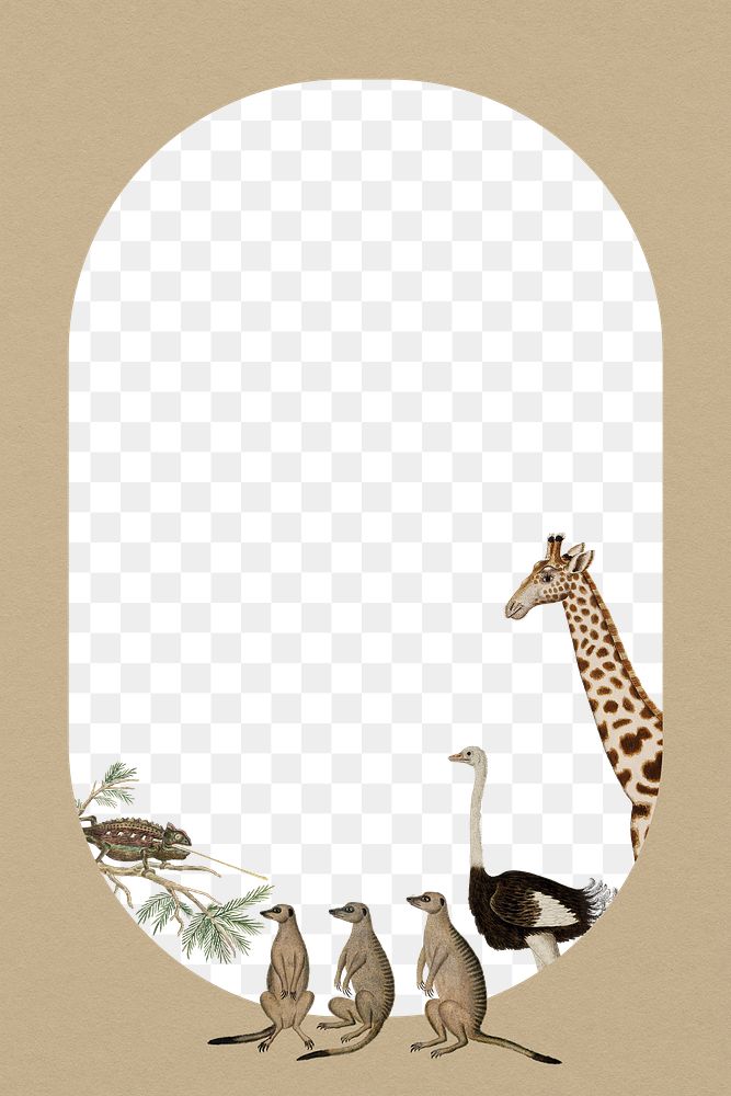 Animal frame png wildlife colored | Premium PNG - rawpixel