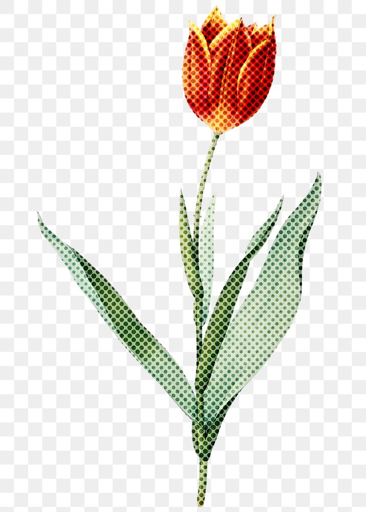 Hand drawn tulip flower halftone | Premium PNG Sticker - rawpixel