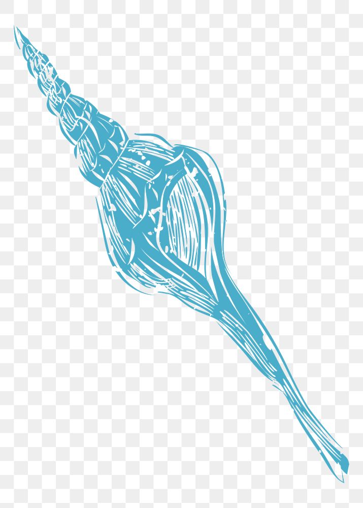 Png murex shell printmaking transparent | Premium PNG Sticker - rawpixel