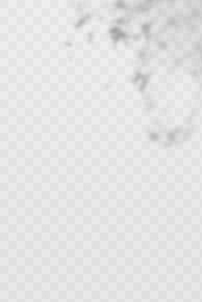 Tropical leaf shadow background png | Premium PNG - rawpixel