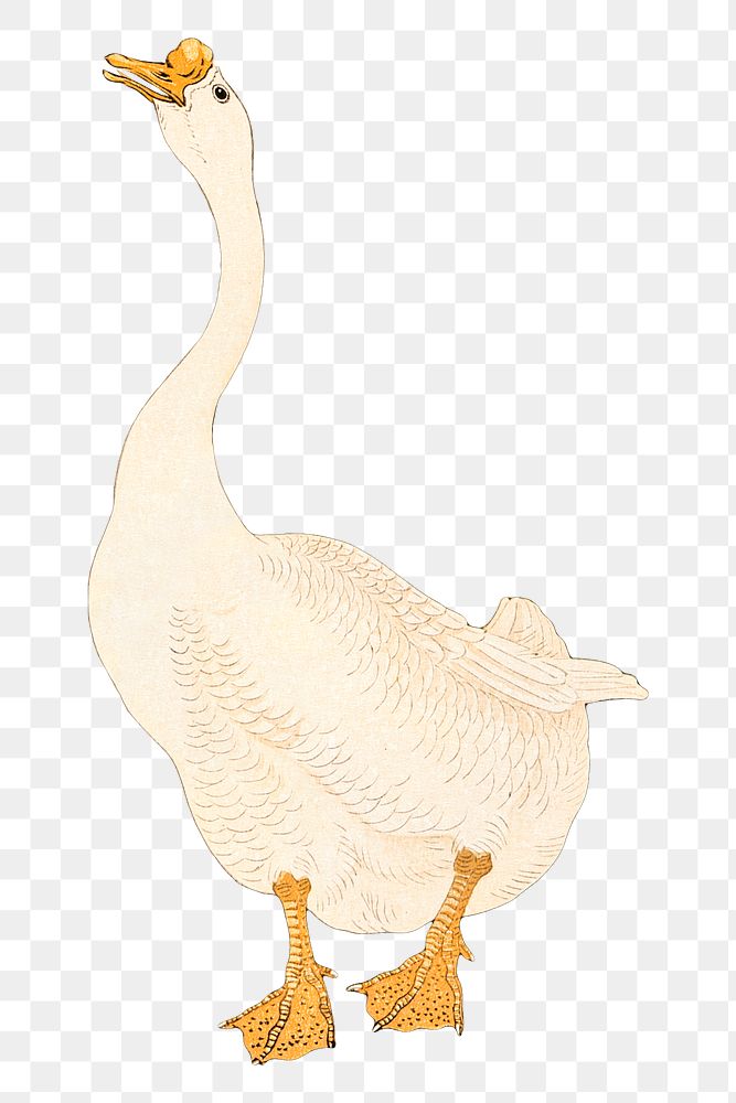 White goose design element | Free PNG Sticker - rawpixel