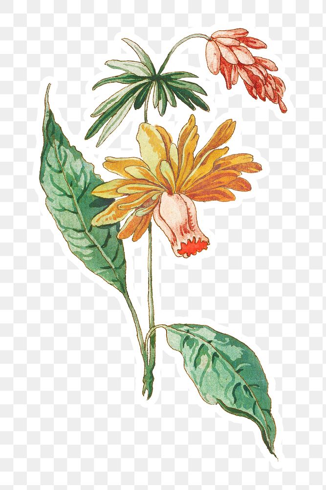 Vintage pink flower sticker with white | Free PNG Sticker - rawpixel