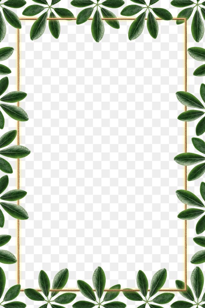 Green leaves with rectangle frame | Free PNG - rawpixel