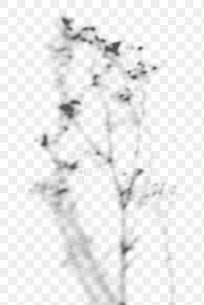 Shadow of plant design element | Free PNG - rawpixel