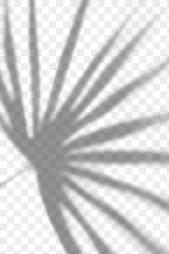 Plant Shadow PNG Images | Free PNG Vector Graphics, Effects ...