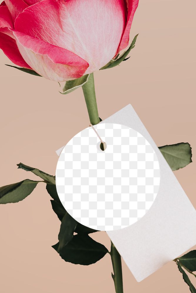 Pink rose flower with a tag | Free PNG - rawpixel
