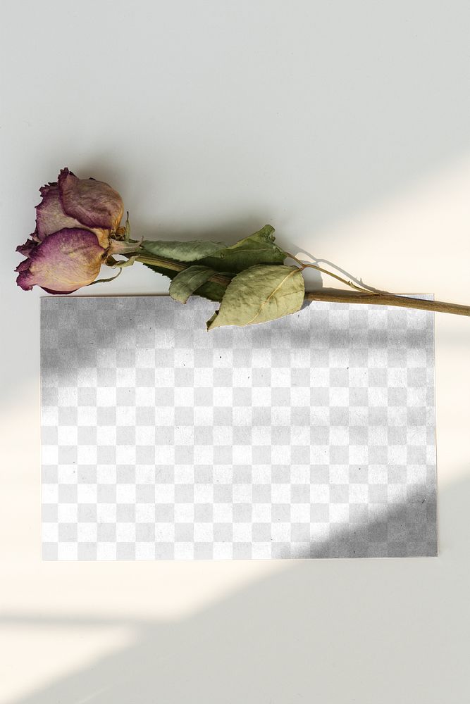 Dried pink rose with a card | Free PNG - rawpixel