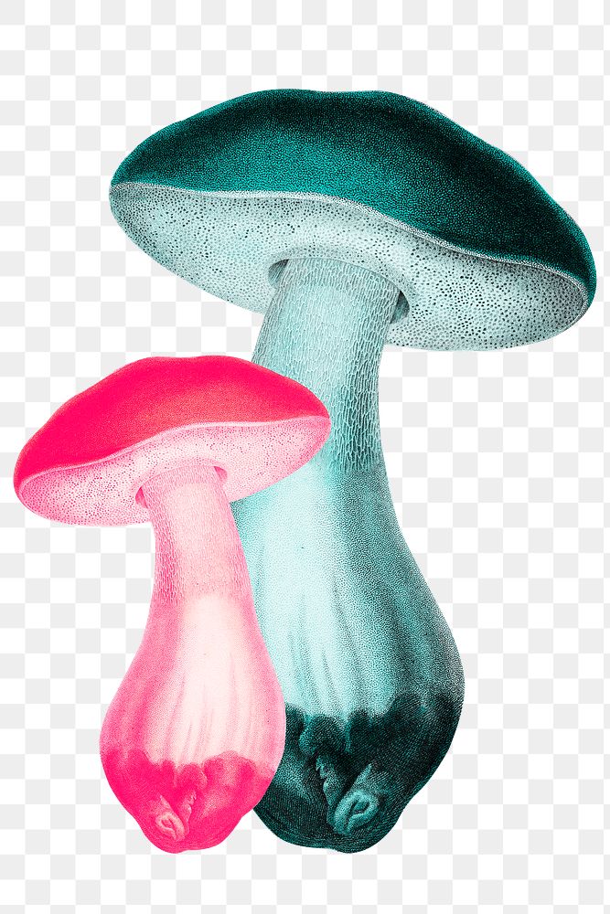 Mushroom png sticker, printable vintage | Premium PNG - rawpixel