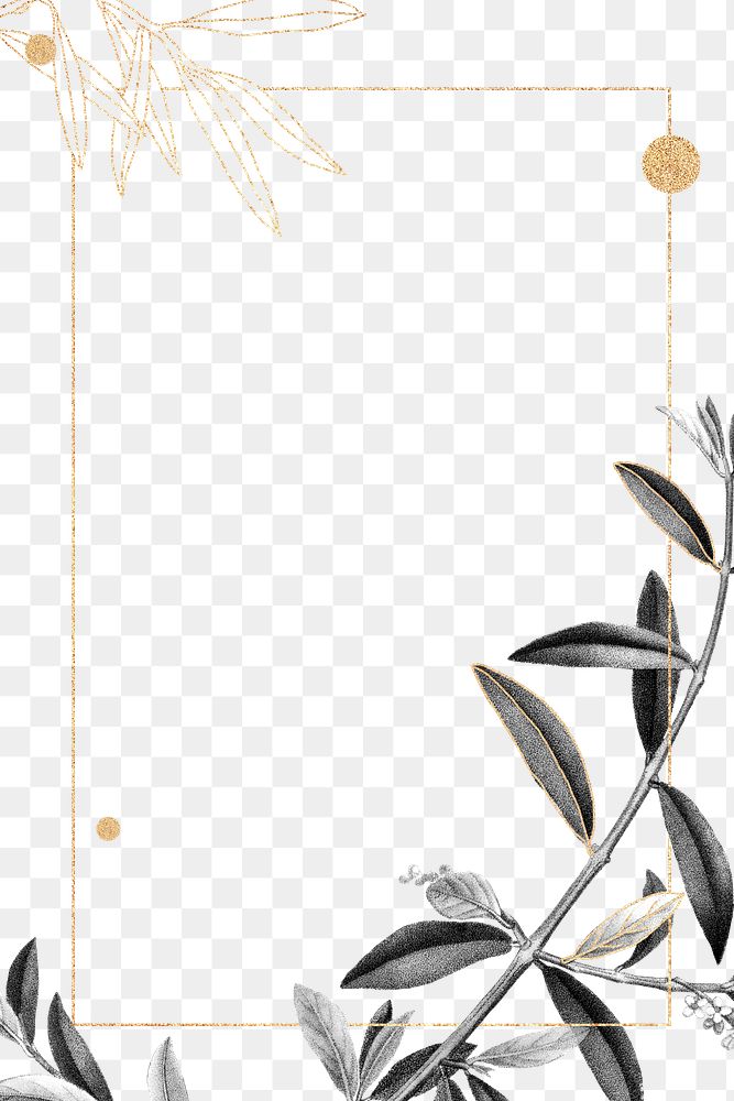 Botanical frame png olive branches | Free PNG - rawpixel