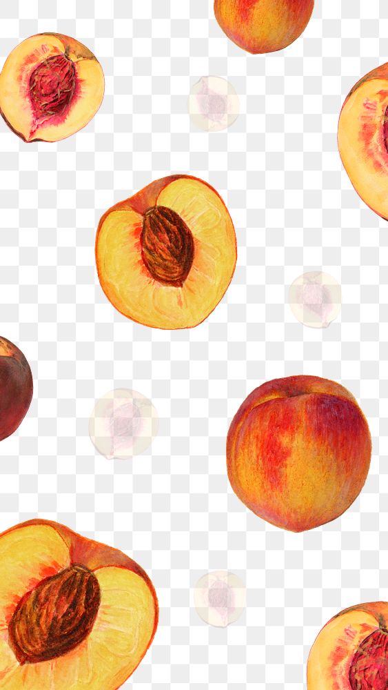 Hand drawn natural fresh peach | Free PNG - rawpixel