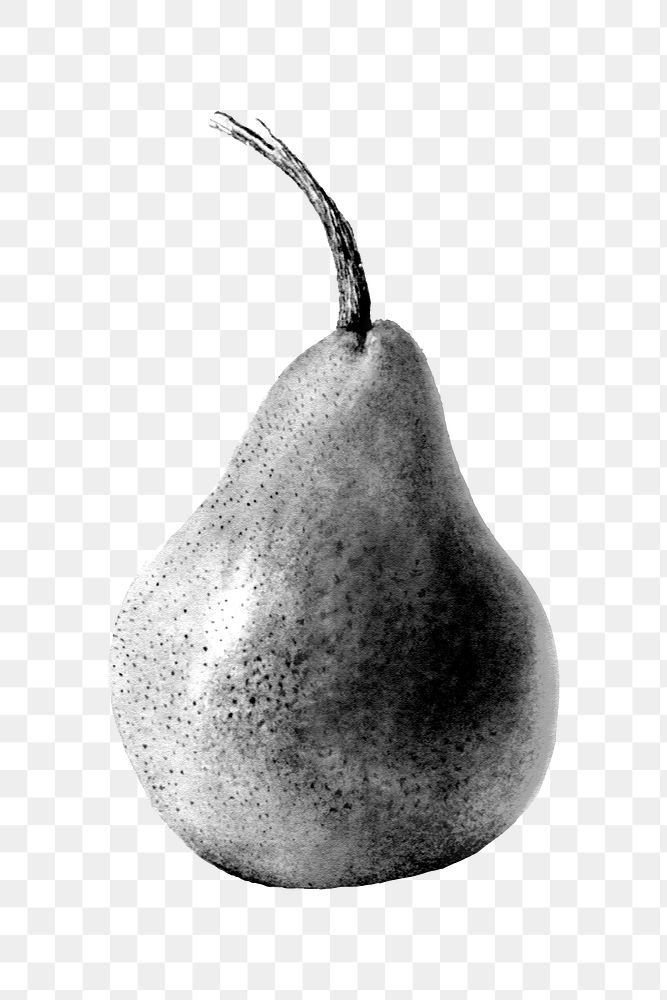 Hand drawn monotone pear sticker | Free PNG Sticker - rawpixel