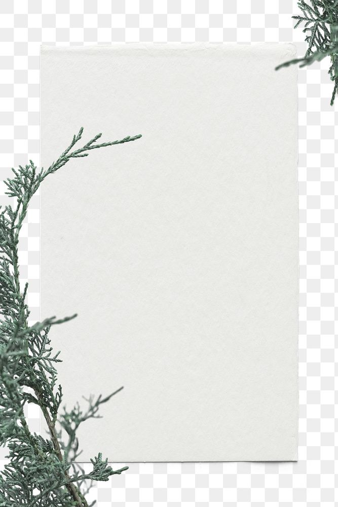 Png spruce twigs border card | Premium PNG - rawpixel