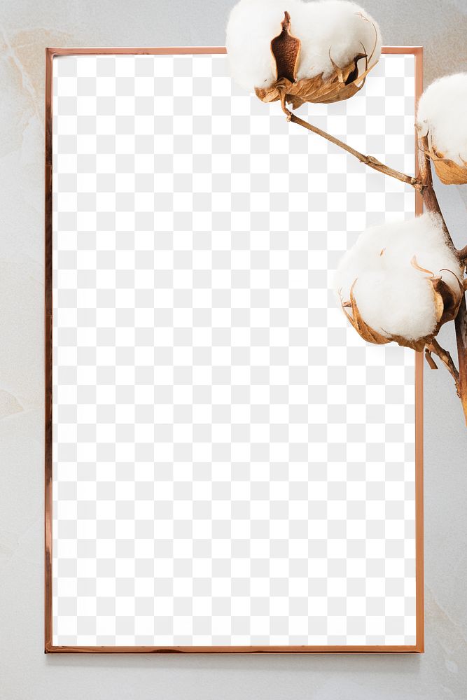 PNG cotton flower natural frame | Free PNG - rawpixel