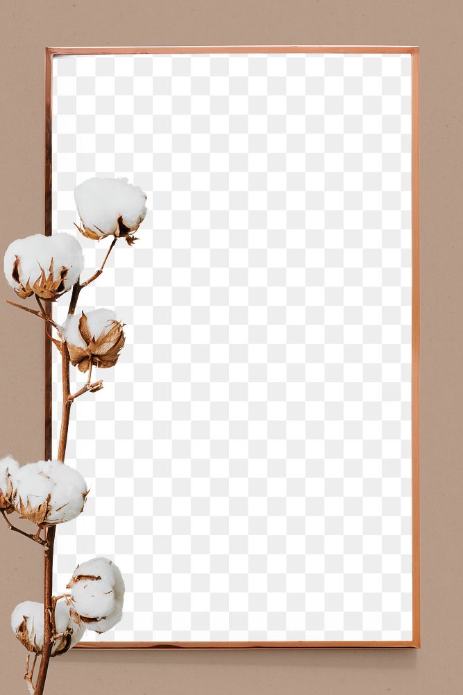 PNG cotton flower natural frame | Free PNG - rawpixel