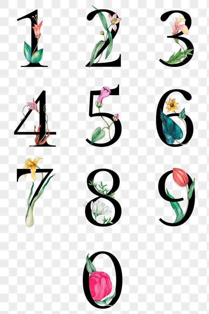 Png 123 number set floral | Free PNG - rawpixel