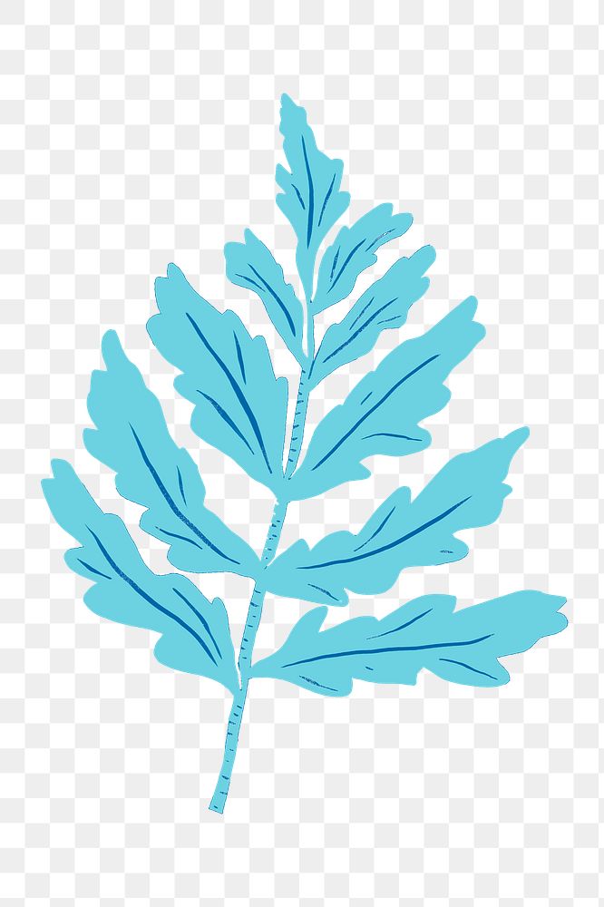 Light blue leaf png sticker | Free PNG Sticker - rawpixel