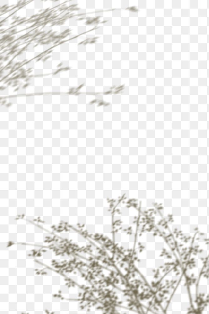 PNG floral branches shadow design | Premium PNG - rawpixel