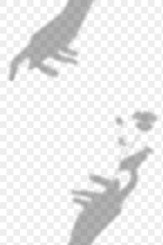 PNG flower in hand shadow | Premium PNG - rawpixel