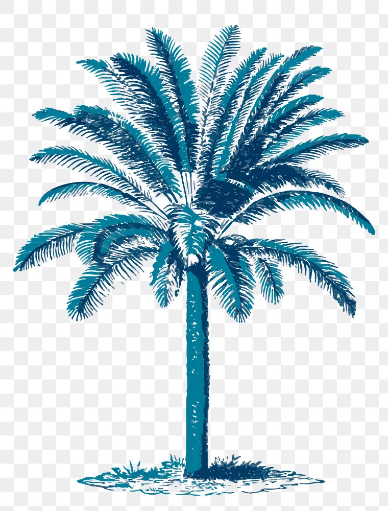 Palm tree png sticker classic | Premium PNG Sticker - rawpixel