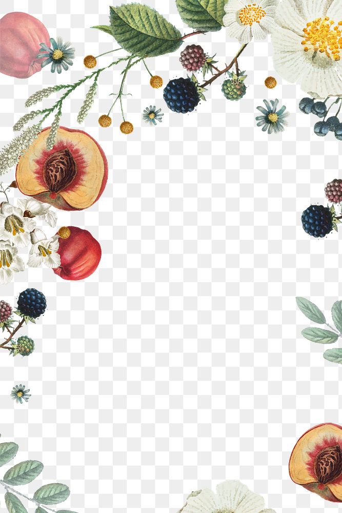 Png hand drawn botanical border | Free PNG - rawpixel