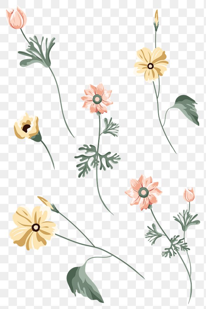 Blooming flower design element set | Premium PNG - rawpixel