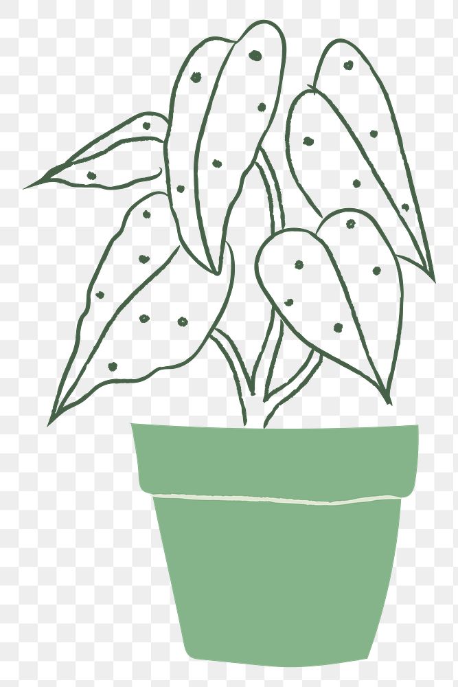 Simple houseplant png doodle potted | Premium PNG Sticker - rawpixel