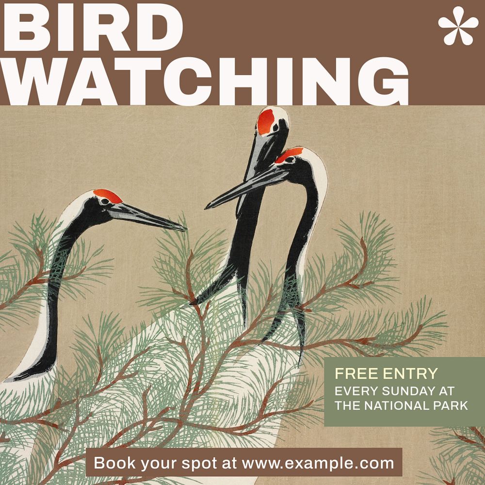 Bird watching Instagram post template, | Premium Editable Template ...