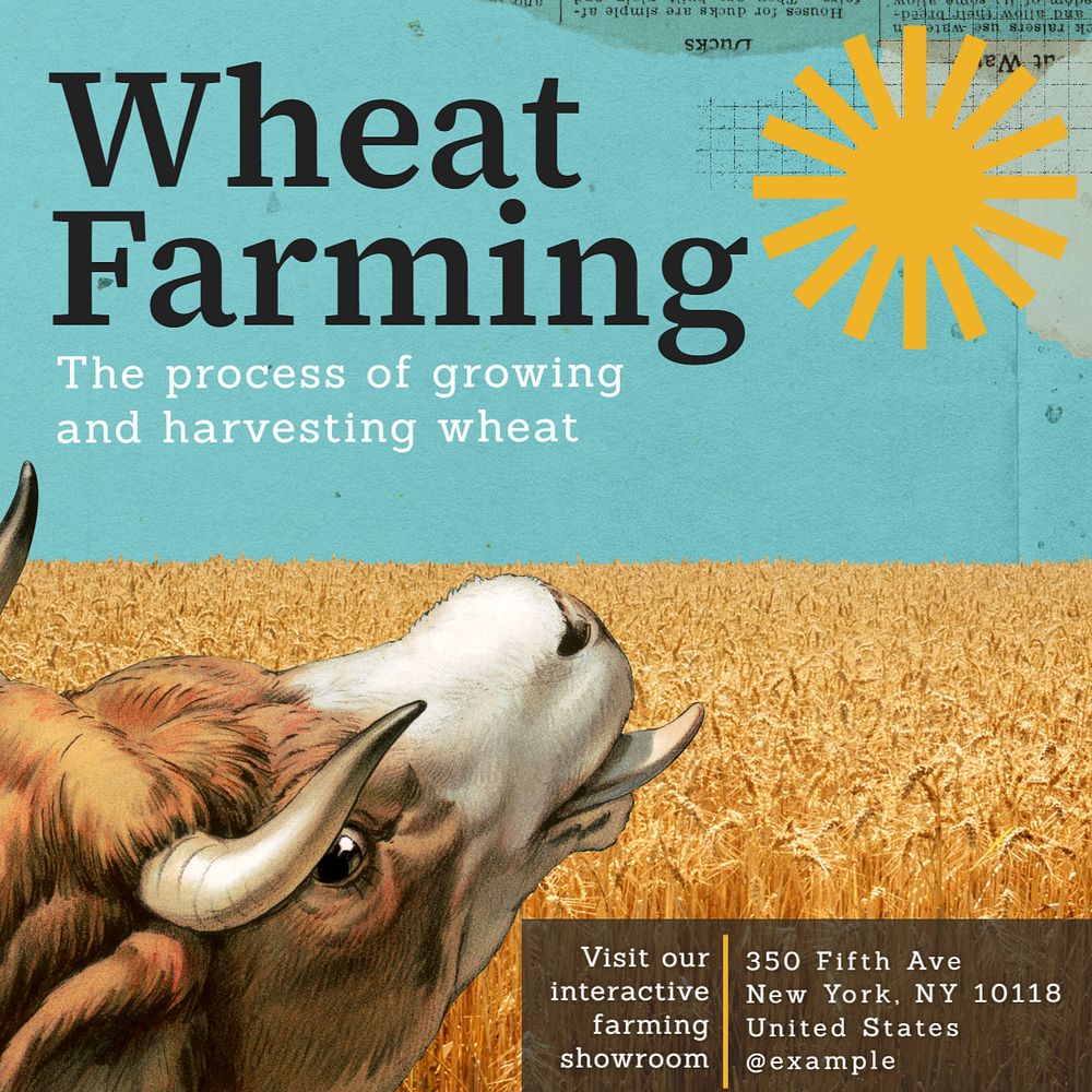 Wheat farming Instagram post template, | Premium Editable Template ...