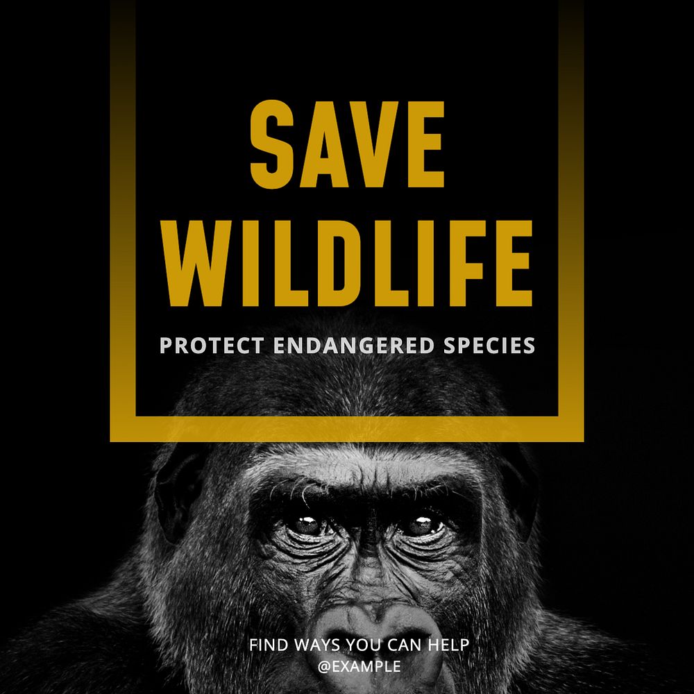 Save wildlife Instagram post template, | Free Editable Template - rawpixel