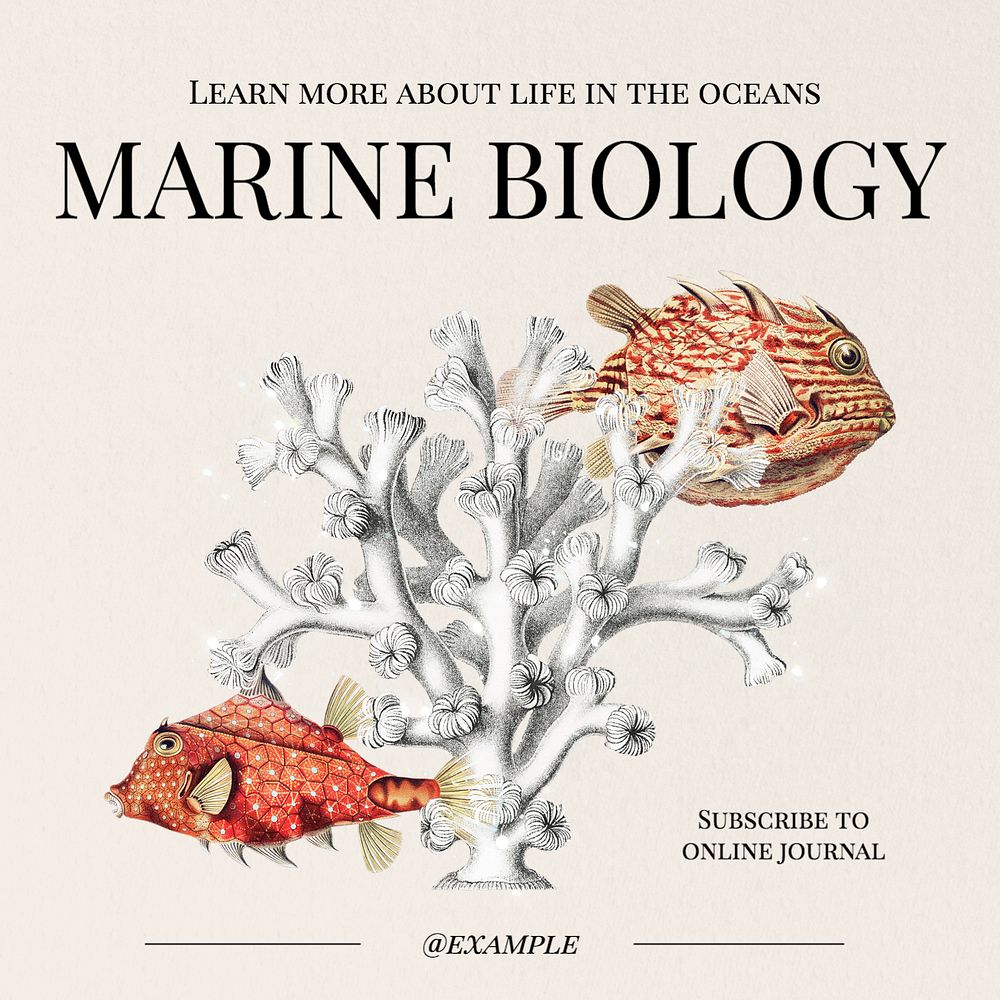 Marine biology Instagram post template | Premium Editable Template ...