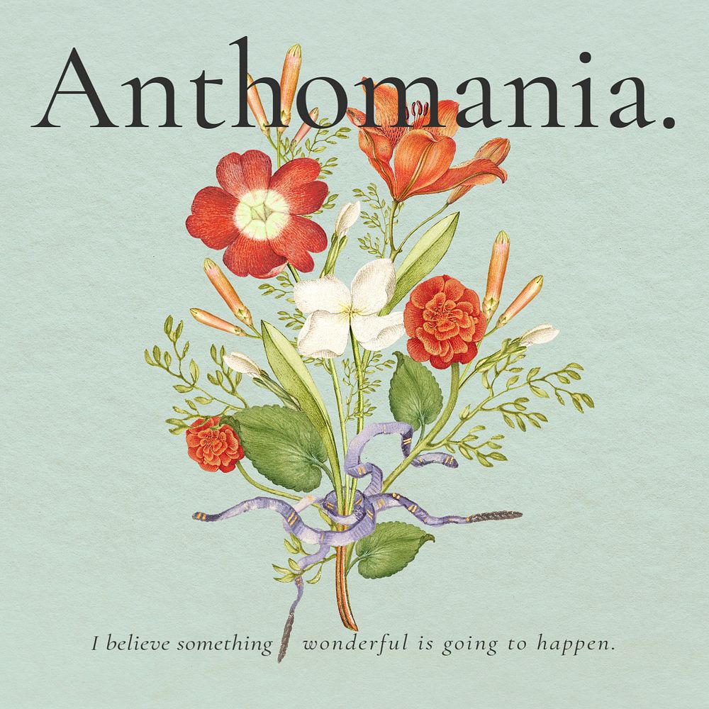 Floral definition Instagram post template, | Premium Editable Template ...