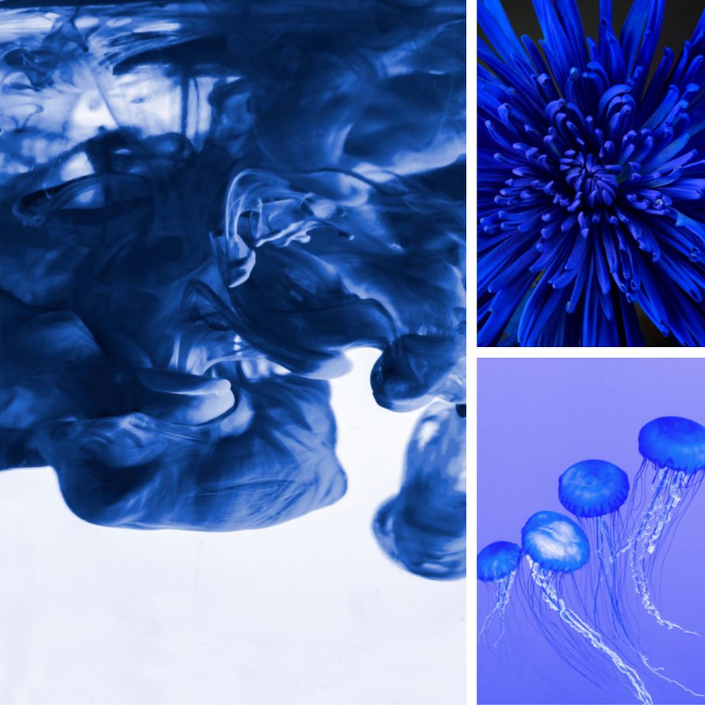 Customizable aesthetic grid photo collage | Free Photo Collage Maker ...