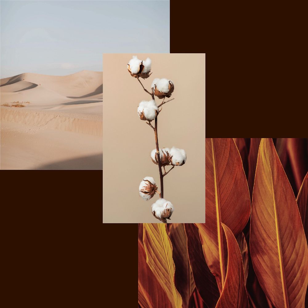 Customizable aesthetic grid photo collage | Premium Photo Collage Maker ...