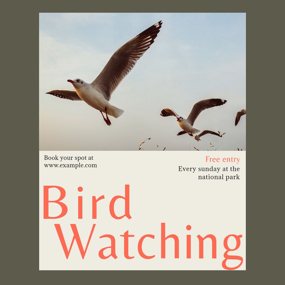 Bird watching Instagram post template, | Premium Editable Template ...