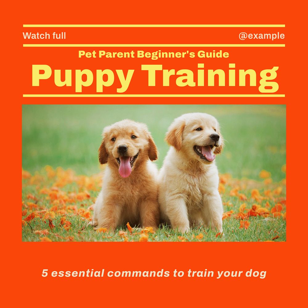 Dog training Facebook post template, | Premium Editable Template - rawpixel