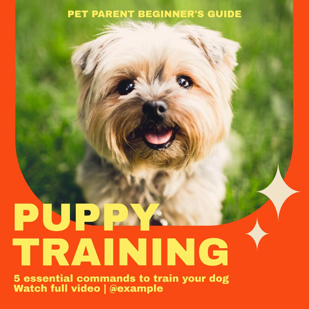 Dog training Facebook post template, | Premium Editable Template - rawpixel