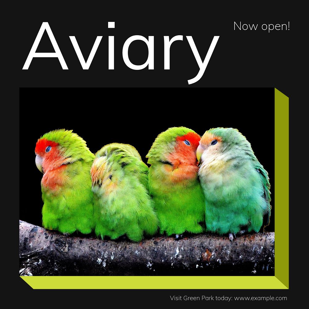 Aviary Facebook post template, editable | Premium Editable Template - rawpixel