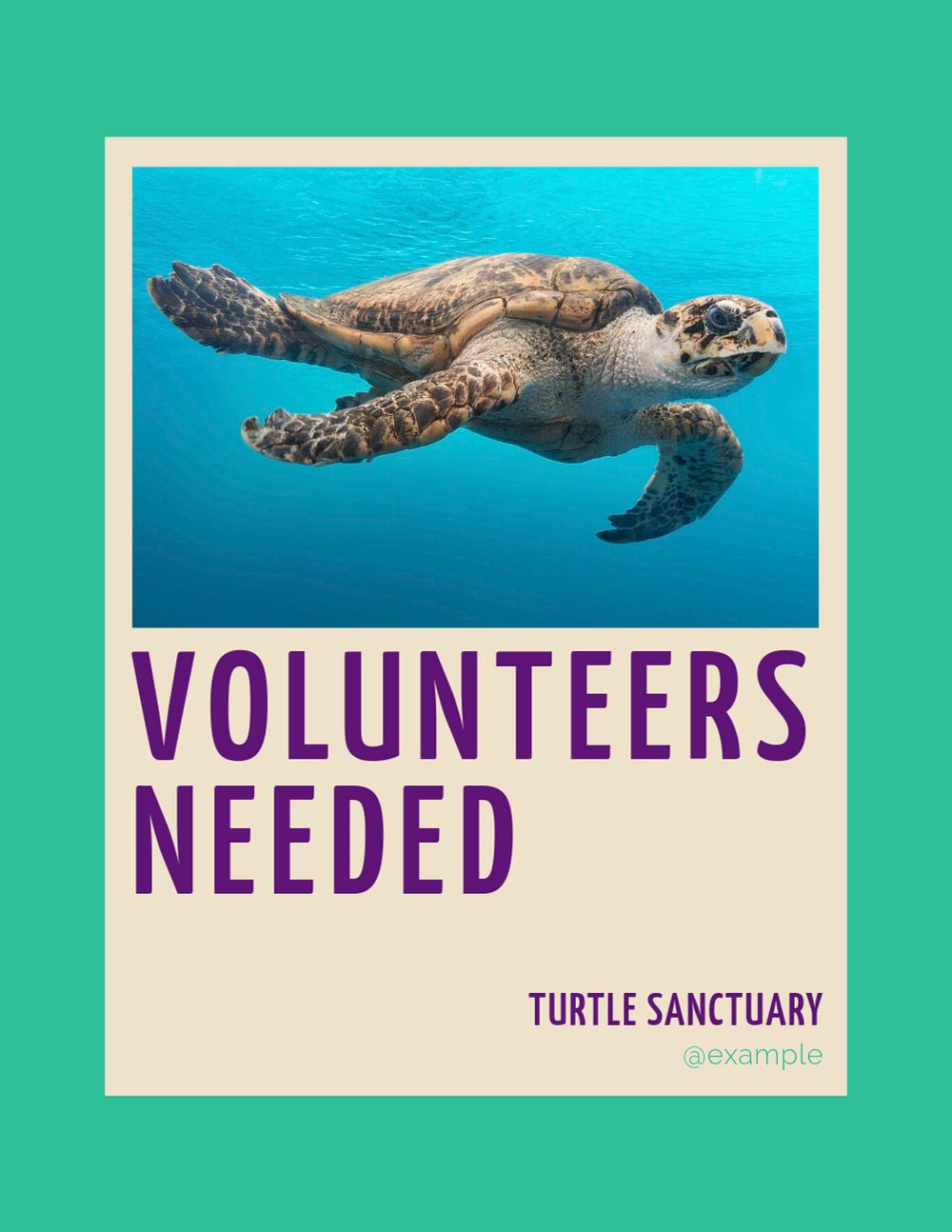Turtle endangered ocean environment flyer | Premium Editable Template ...