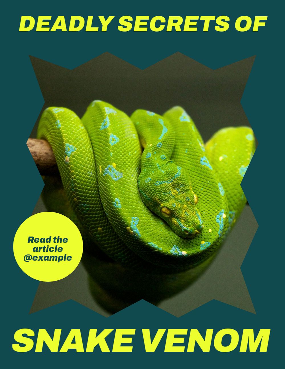 Snake venom flyer template, editable | Premium Editable Template - rawpixel