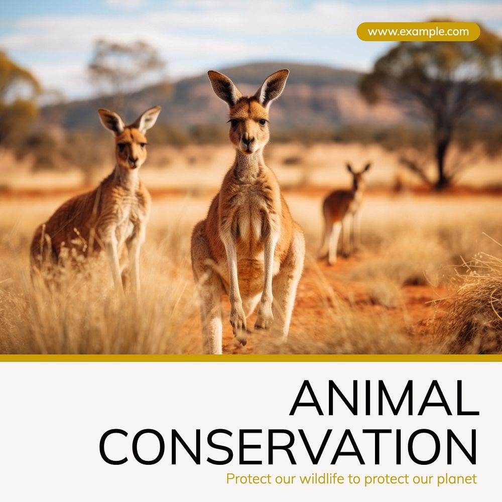Animal conservation Instagram post template | Free Editable Template ...