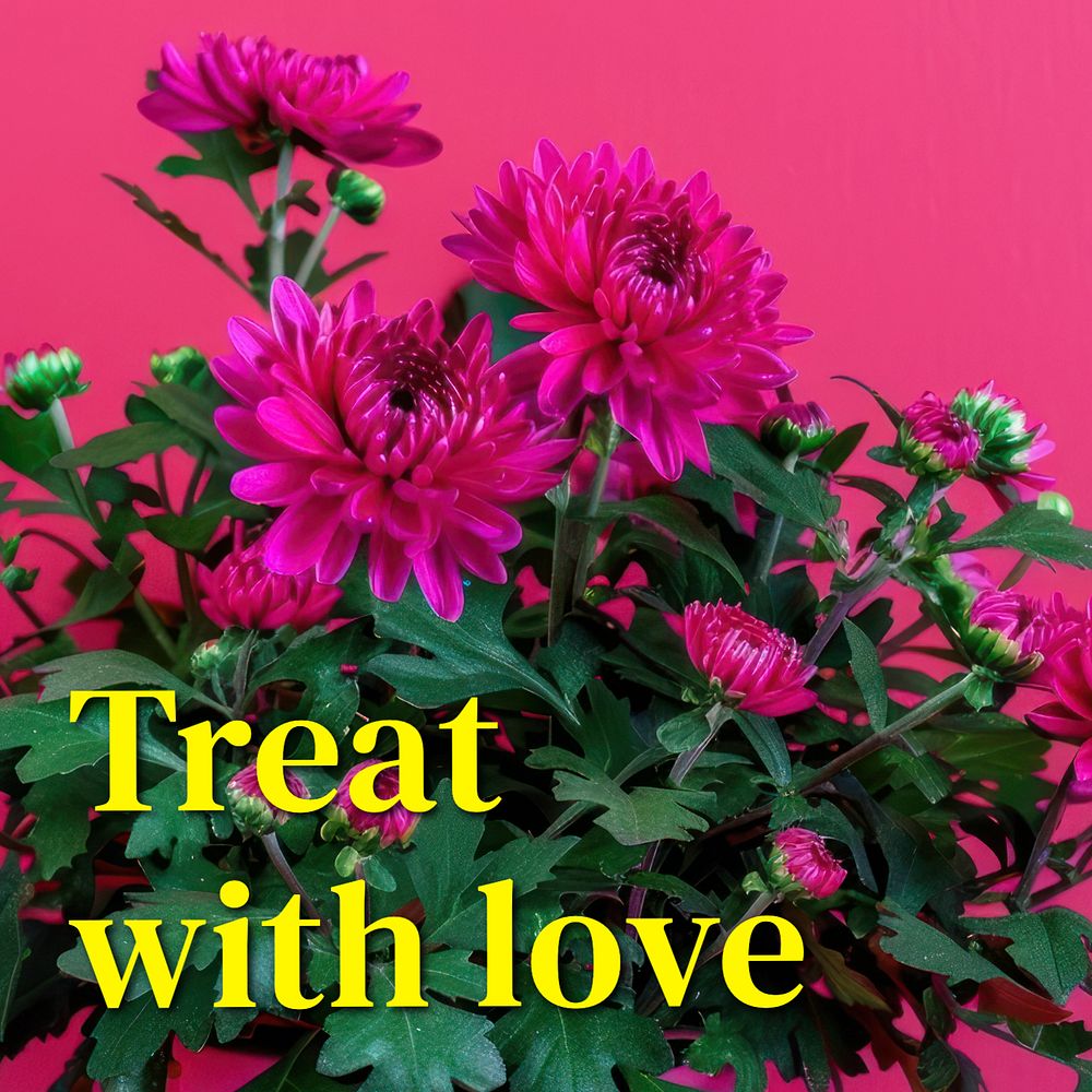 Treat love quote Instagram post | Premium Editable Template - rawpixel