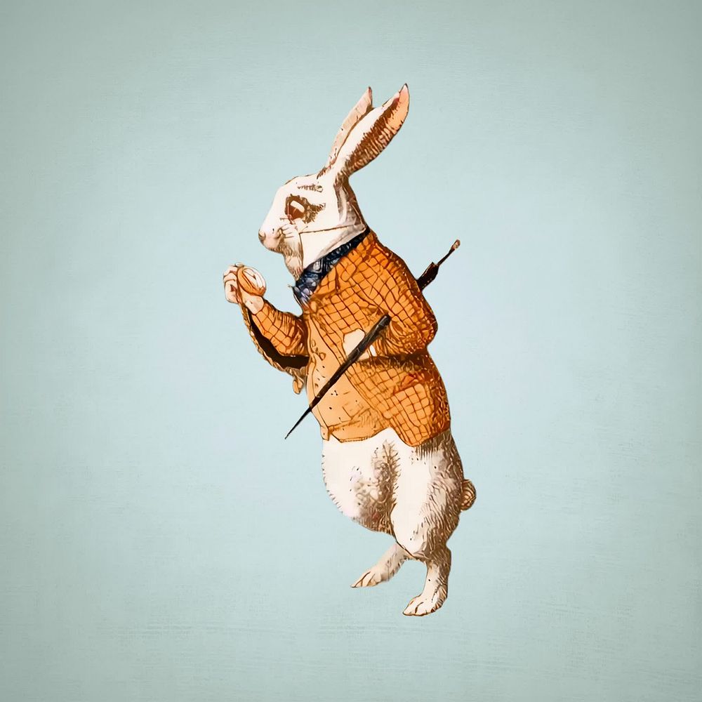 Kangaroo Images | Download Free Design Resources on rawpixel